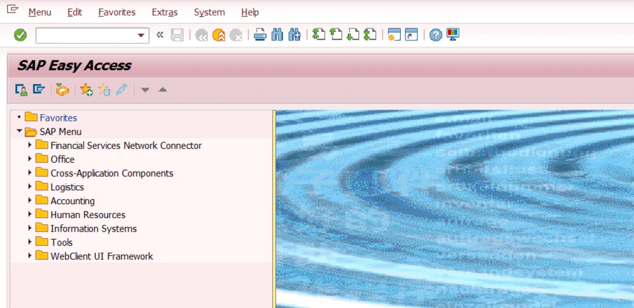 Qué es el SAP GUI - SHTC